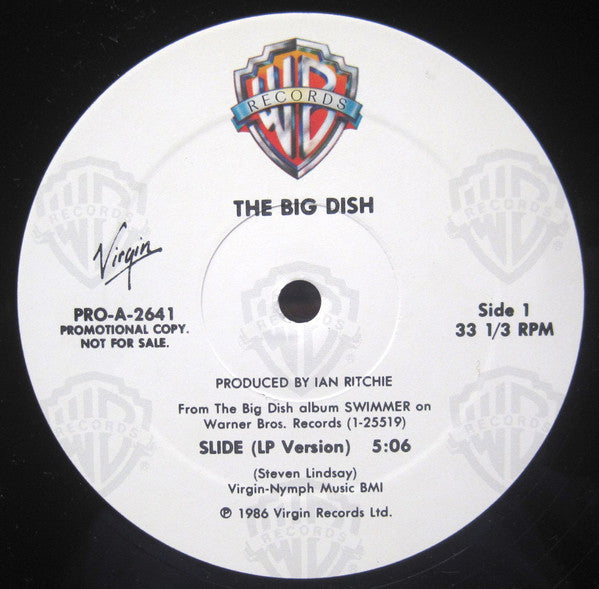 12" Single: The Big Dish - Slide – Five Buck Bin